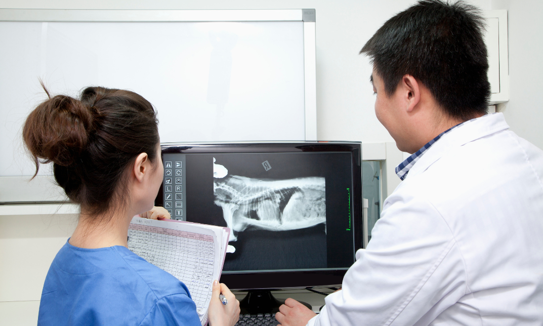 Clinical Observations Skills - Adams Academy Site