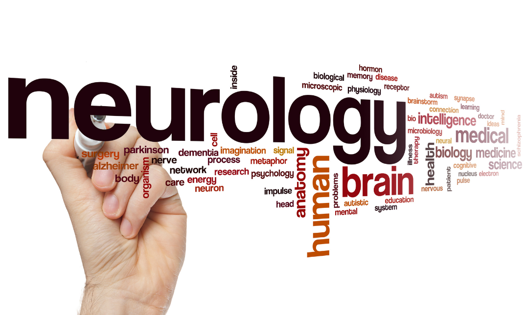 Neurology - Adams Academy Site
