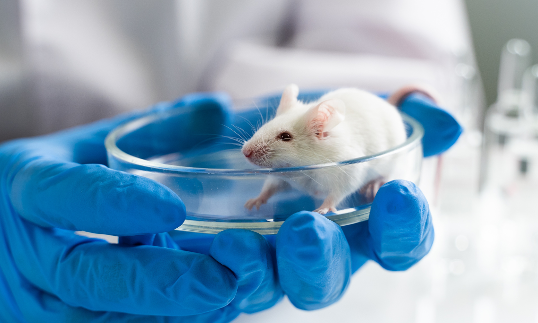 Introduction to Animal Science - Adams Academy Site